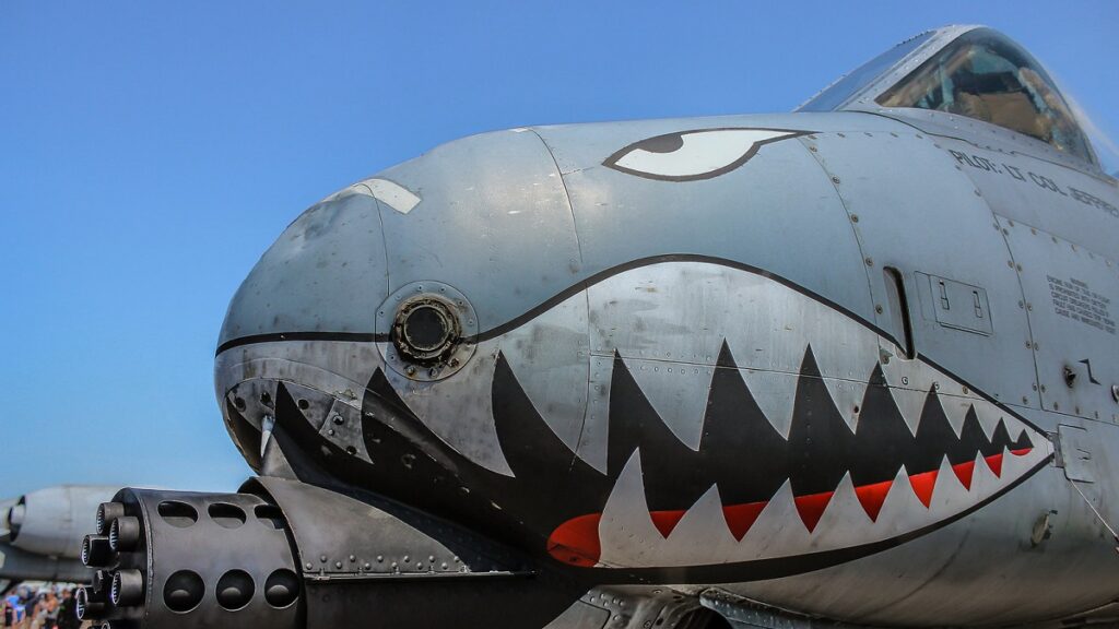 Why Some A-10 Warthogs Rock Killer Shark Teeth War Paint - 19FortyFive