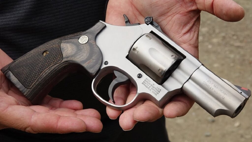 Ranked: The 5 Top Revolvers To Protect Your Home from Anything ...