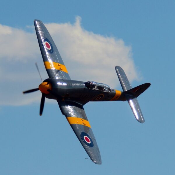 Hawker Sea Fury Archives - 19FortyFive