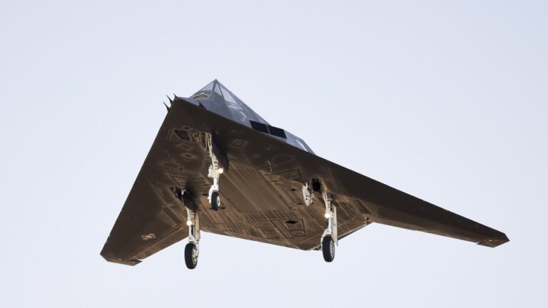 F-117 Nighthawk Stealth Fighter Has a Message for the F-22 Raptor and ...