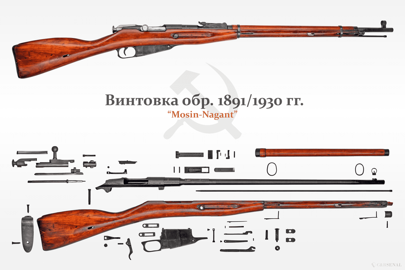 1,000 Round Range Test: What Makes the Mosin-Nagant Sniper Rifle Such a ...