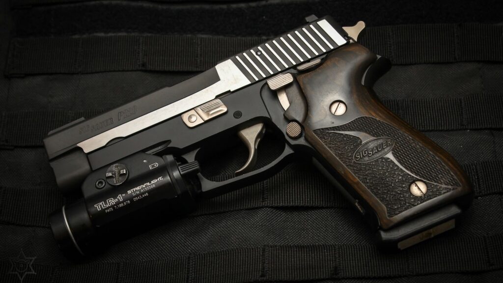 Meet the 5 Best SIG Sauer Handguns (Picked by Expert with Decades of ...