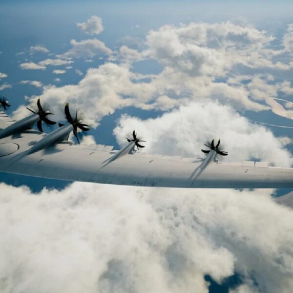 Arsenal Bird Archives - 19FortyFive