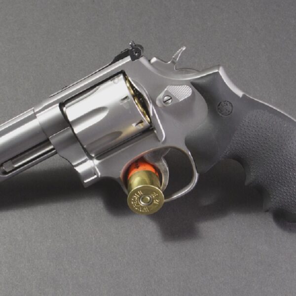 Smith & Wesson Model 686 Archives - 19FortyFive