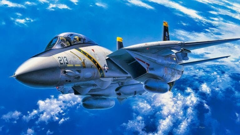 The Navy's F-14 Tomcat Fighter Was Built For Just 1 Mission - 19FortyFive
