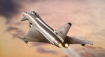 Raptor Destroyed: U.S. Air Force F-22 Raptor Was ‘Shot Down’ by a ...