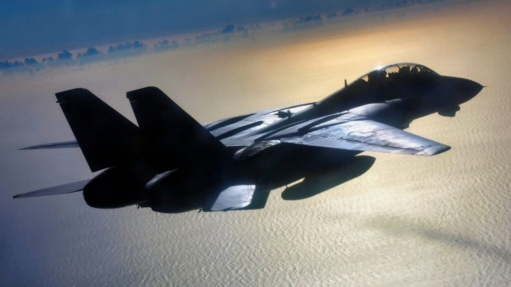 The Navy's F-14 Tomcat Fighter Was Built For Just 1 Mission - 19FortyFive