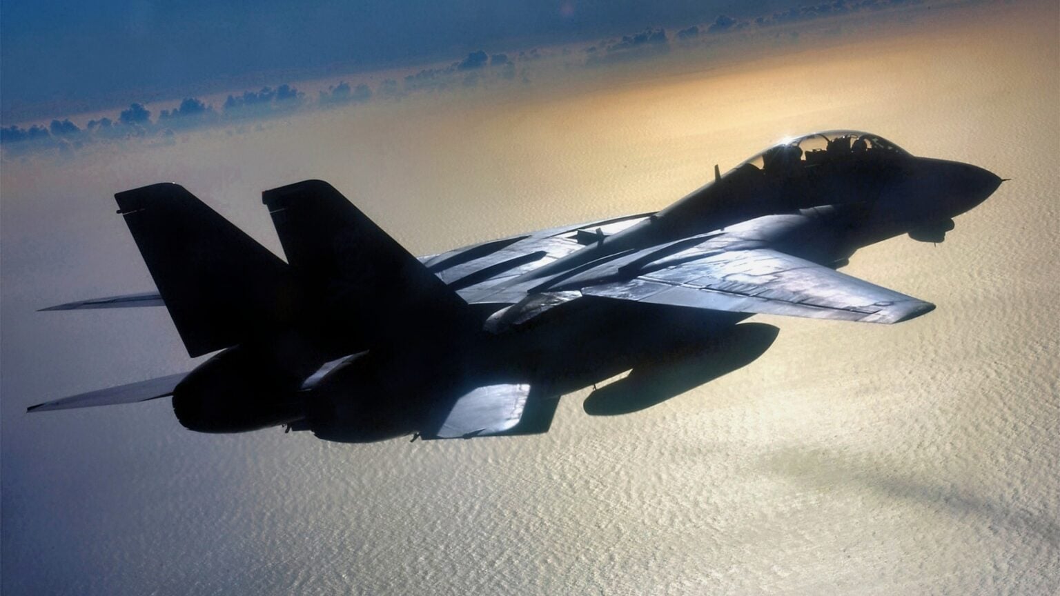 The Navy's F-14 Tomcat Fighter Was Built For Just 1 Mission - 19FortyFive