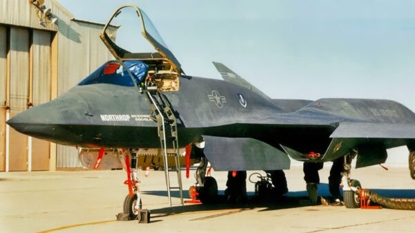YF-23 Black Widow II Stealth Fighter Could Have Replaced the F-22 ...