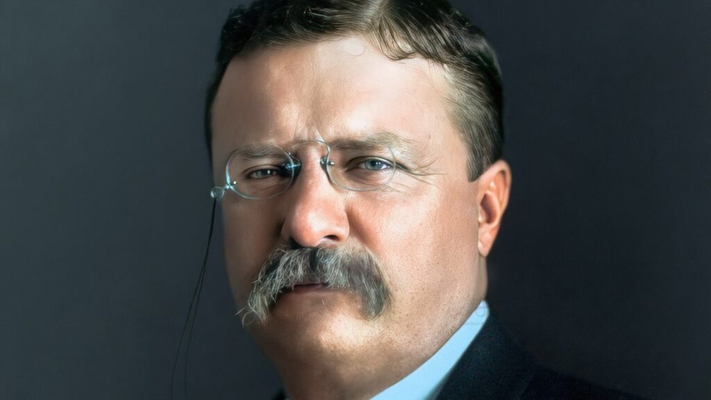 Army Quote of the Day by Theodore Roosevelt: 'The first step in the ...
